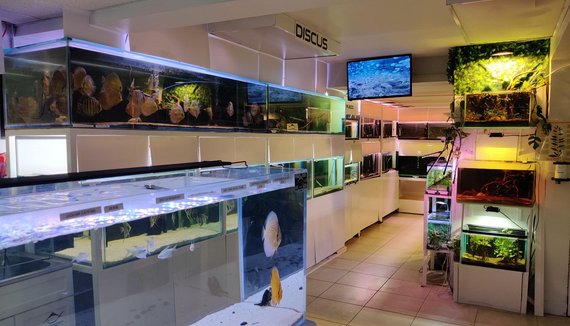 La Maison Du Poisson – Boutique d'aquariophilie à Montréal